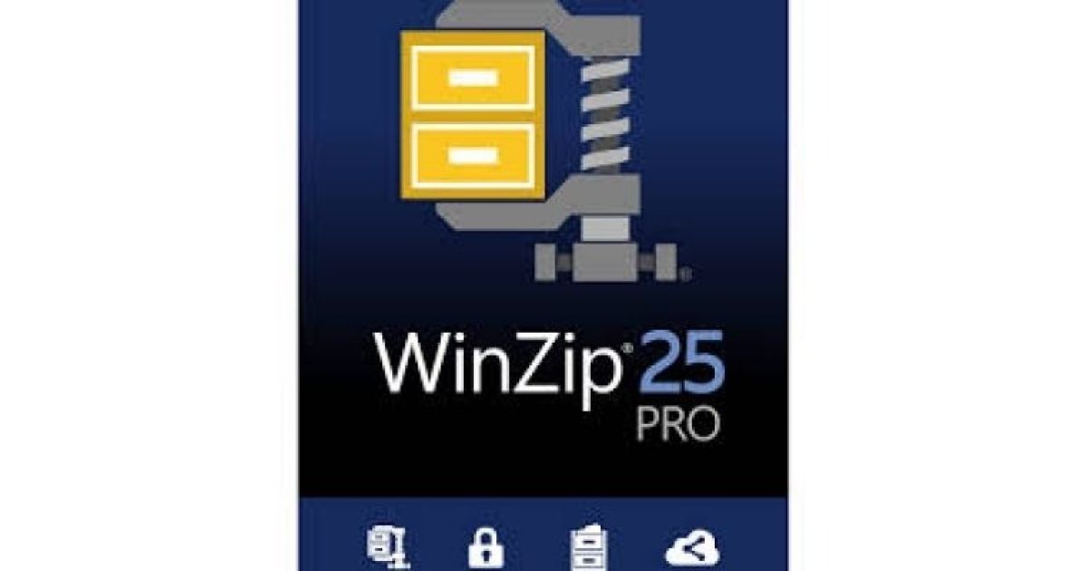 Winzip 25 Professional 2020 Lifelong License | Sell-SA